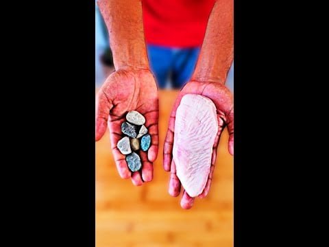 Puse papel en las pechugas ¡El resultado fue impresionante! 😱 😱 😱 # ...