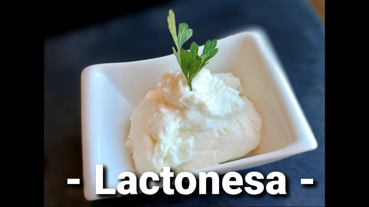 LACTONESA con THERMOMIX®. MAYONESA sin huevo. | recetástico